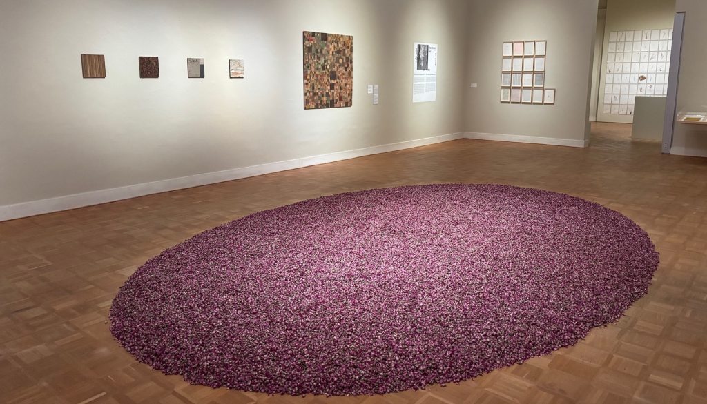 Droge bladeren, levende kunst: herman de vries toont de natuur - KunstVensters